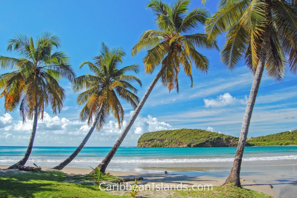 Grenada • CaribbeanIslands.com